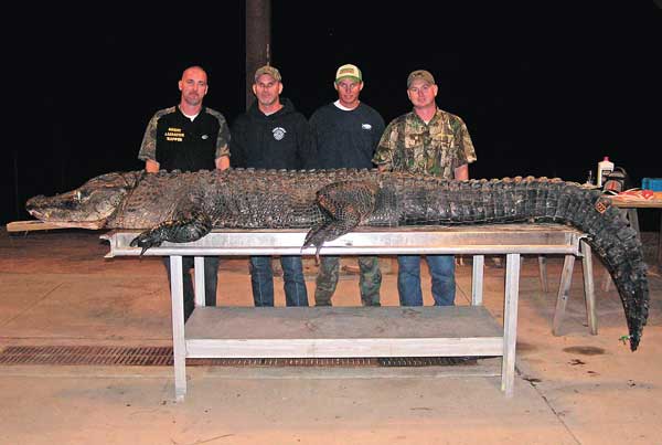 The Mississippi length-record gator was taken from the Pascagoula River ...