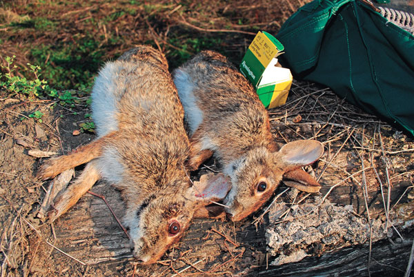 Charles Ray Nix WMA has the best rabbit habitat in the area ...