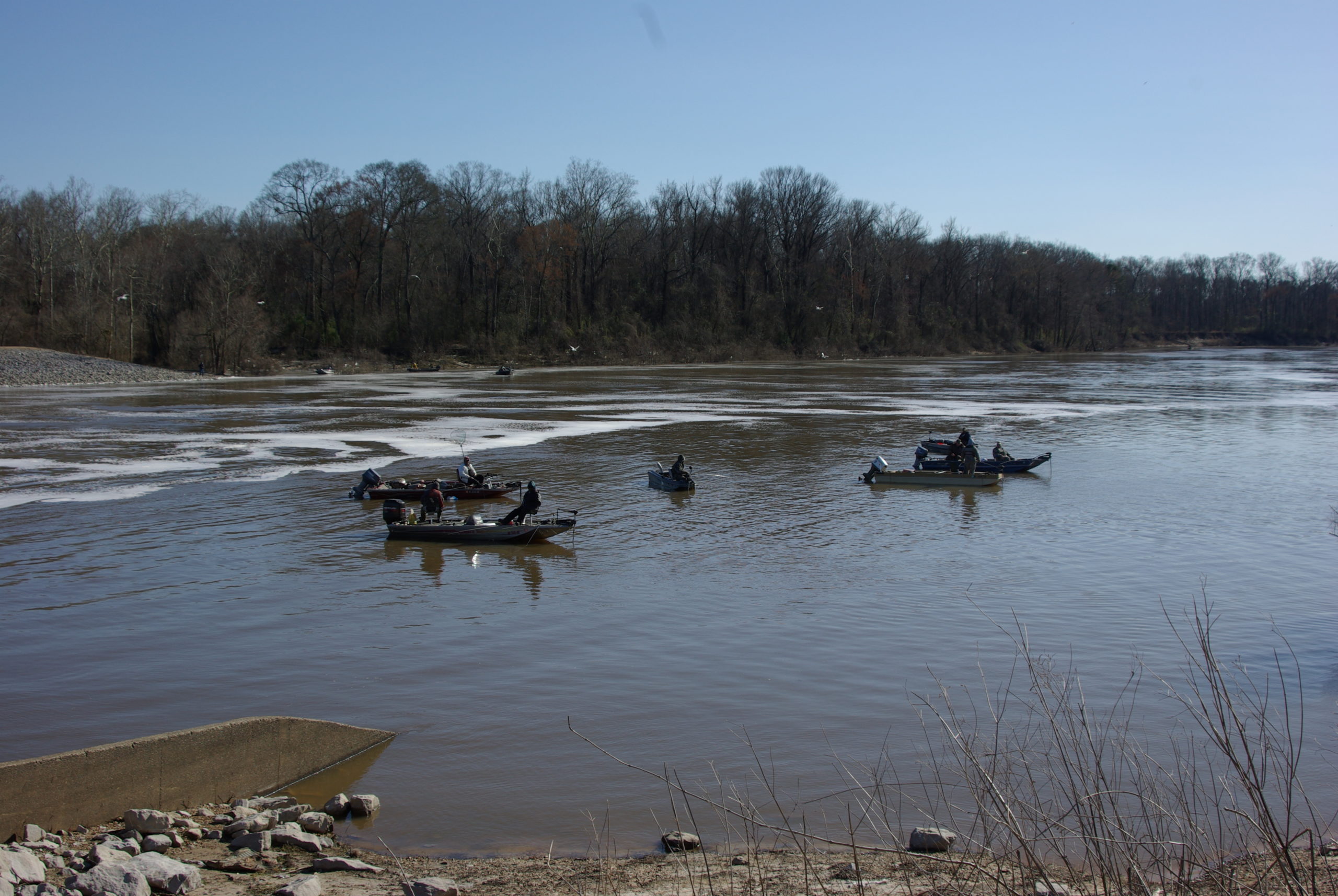 Crappie gather where eddy currents form below the spillway at the Ross ...