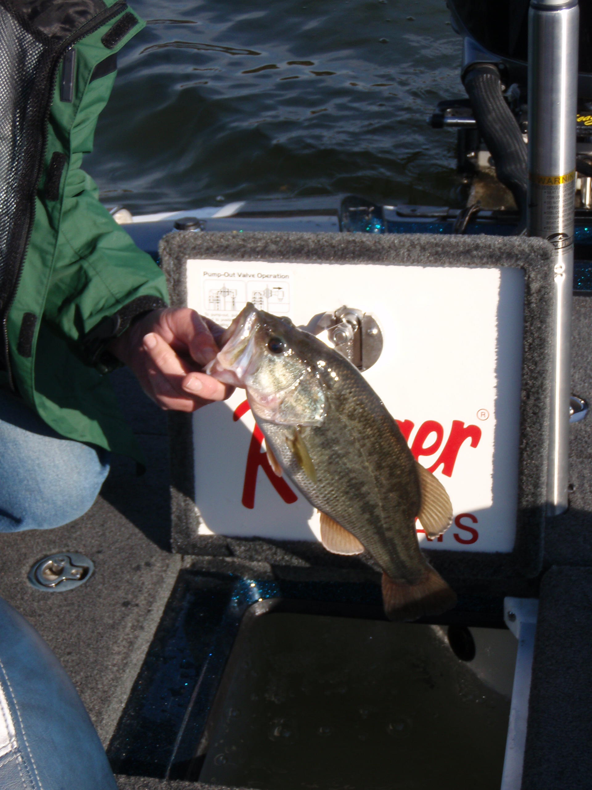 Keeping bass healthy in a livewell is just a matter of a following a ...