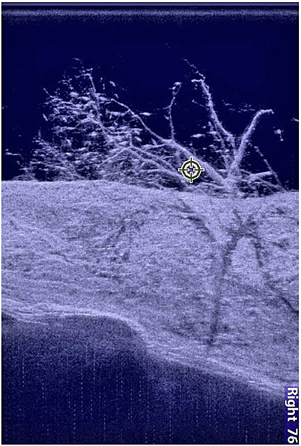 Side-imaging SONAR such as this allows the angler to make the best use ...