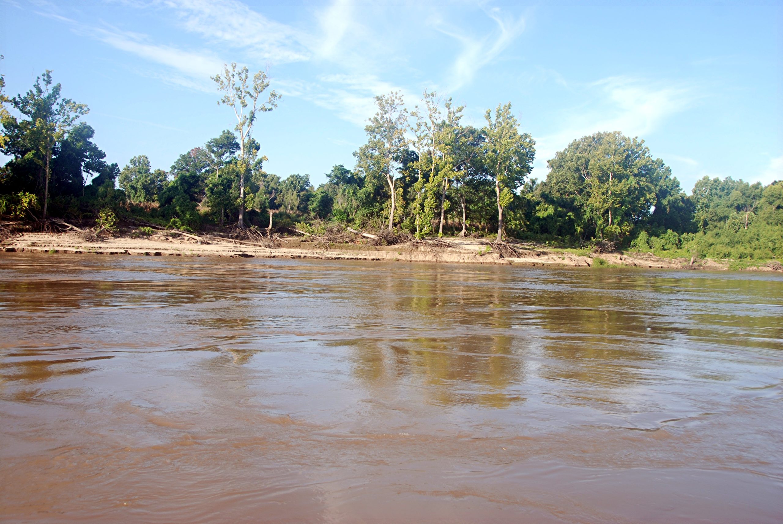 Stop No. 5 - Mud Bank - Mississippi Sportsman