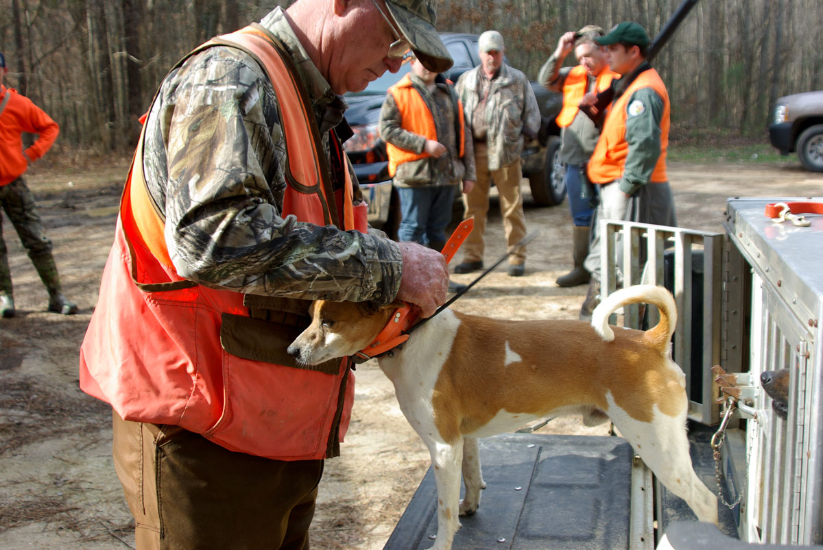 Avid squirrel hunter Kenny Latham of Ludlow puts a tracking color on ...