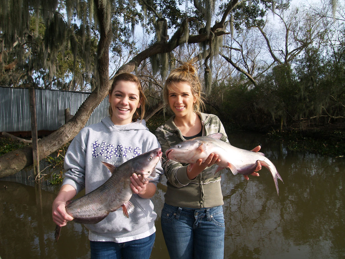 stink baits 1 - Mississippi Sportsman