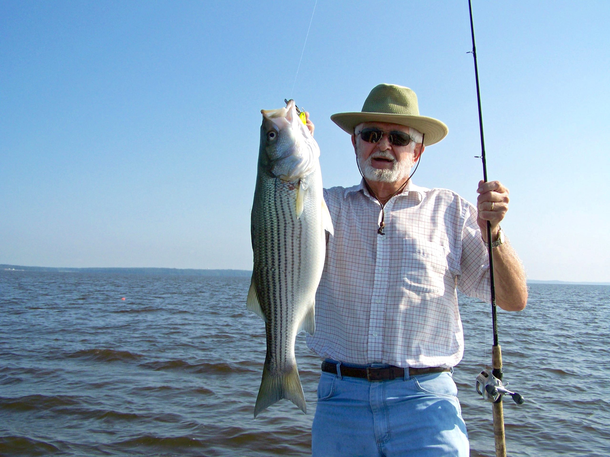 Bob Ponds is the dean of striper fishing on Ross Barnett. He trolls to ...