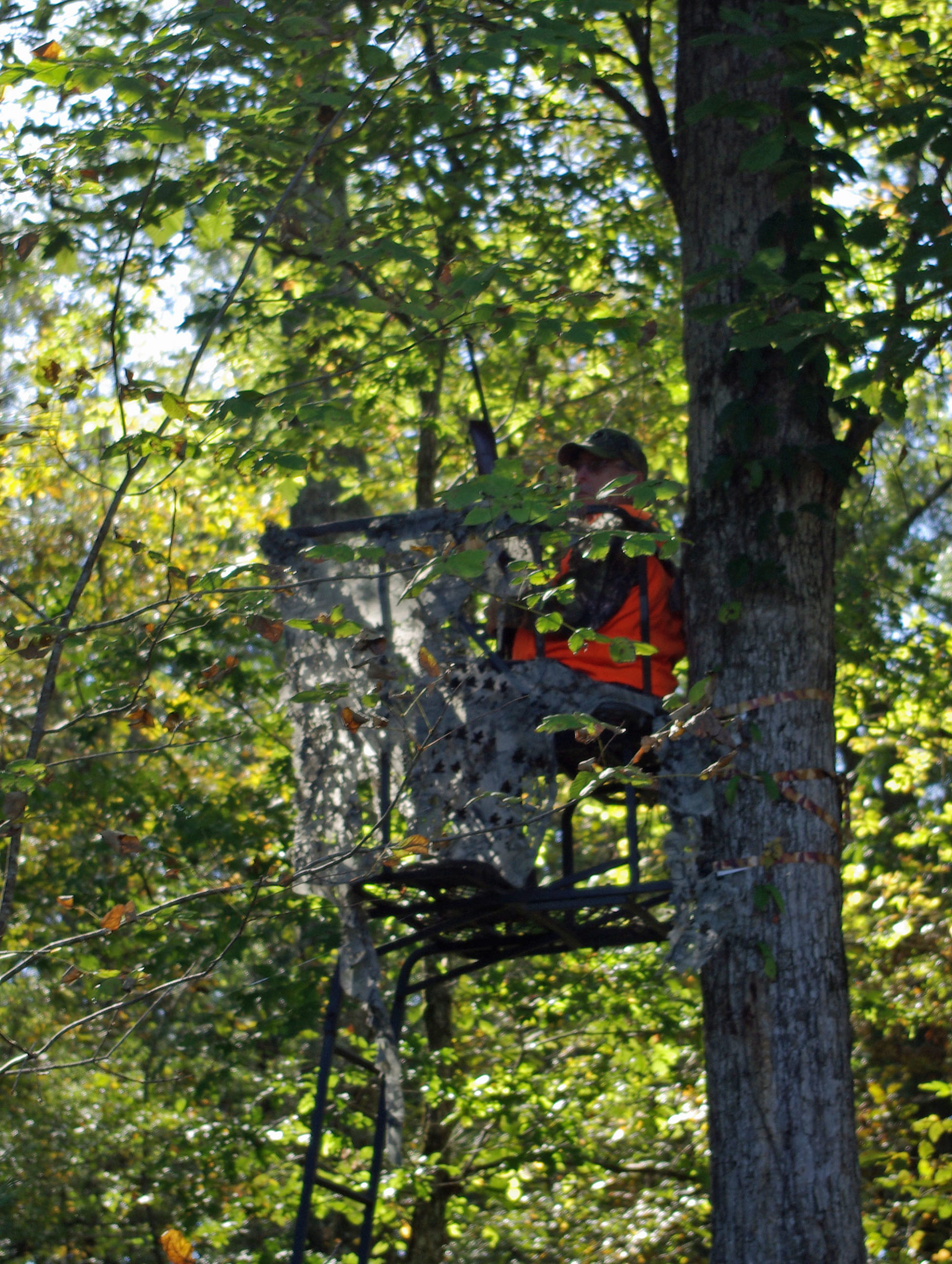 Using natural vegetation to disguise - Mississippi Sportsman