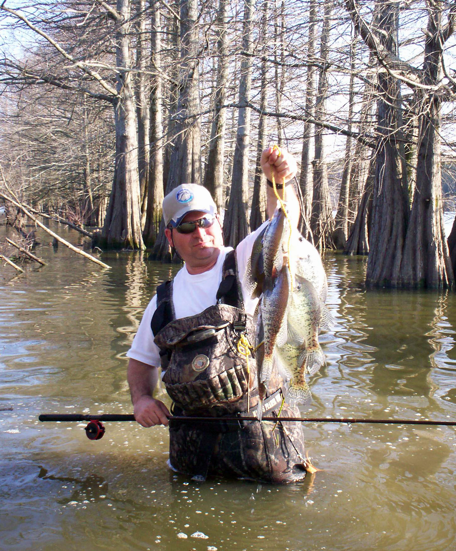 Ricky Flynt holds up a good stringer of crappie caught wading, a common ...