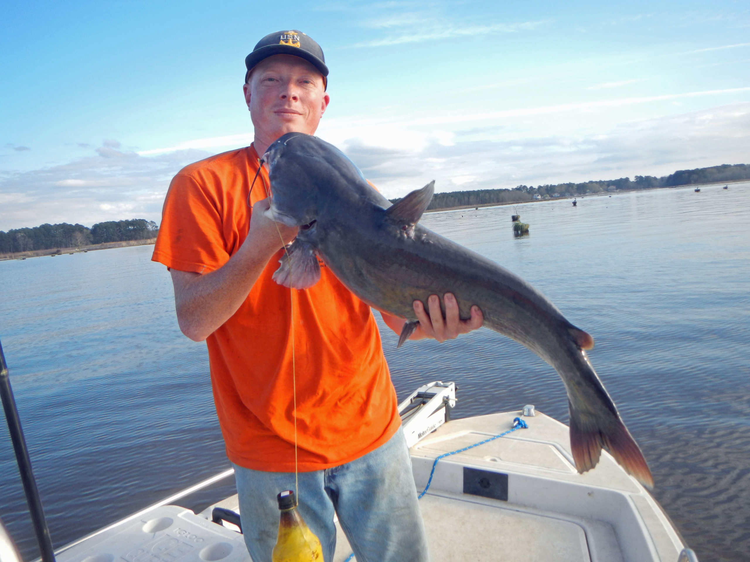 Josh Hawkins of Pelahatchie hoists a nice blue catfish that bit on a ...